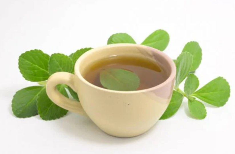 Chá de boldo: conheça os benefícios e saiba como preparar - Plena Mulher